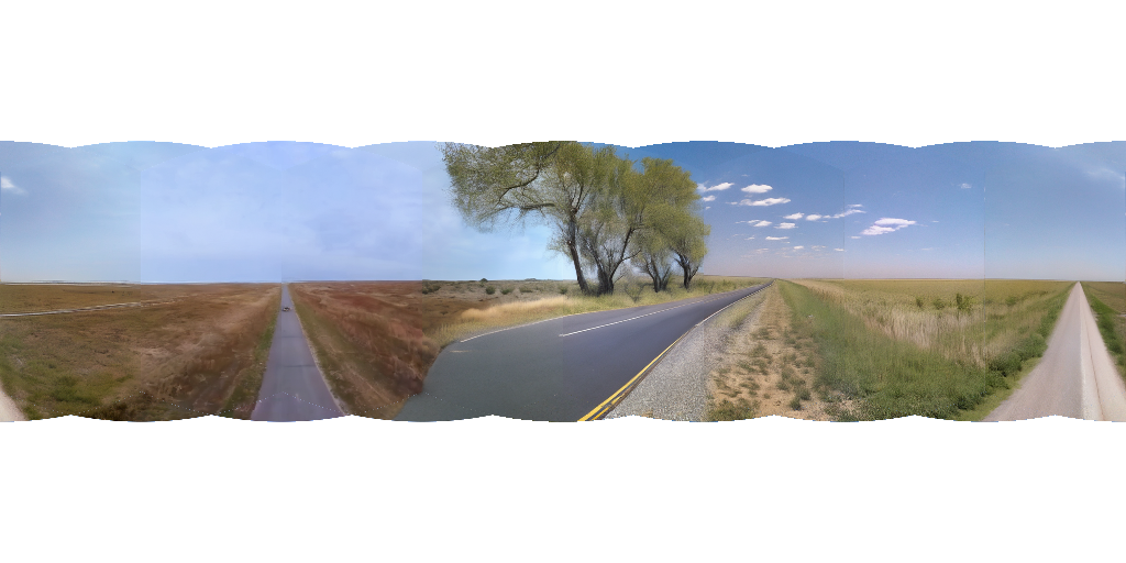 VideoPanda: Panoramic Video Diffusion with Multi-view Attention