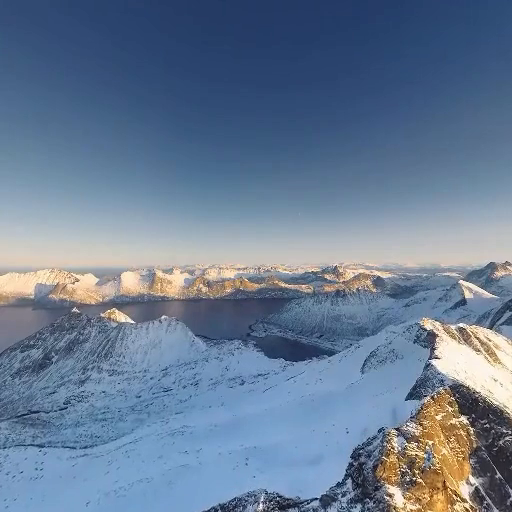 VideoPanda: Panoramic Video Diffusion with Multi-view Attention